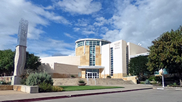 Allen TX- Chimney Sweep- Hale's Chimney & Fireplace Solutions